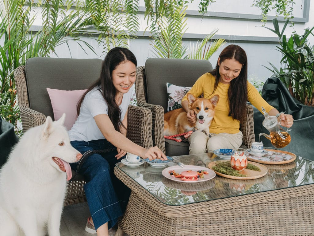 Gallery - Boonta Flowers