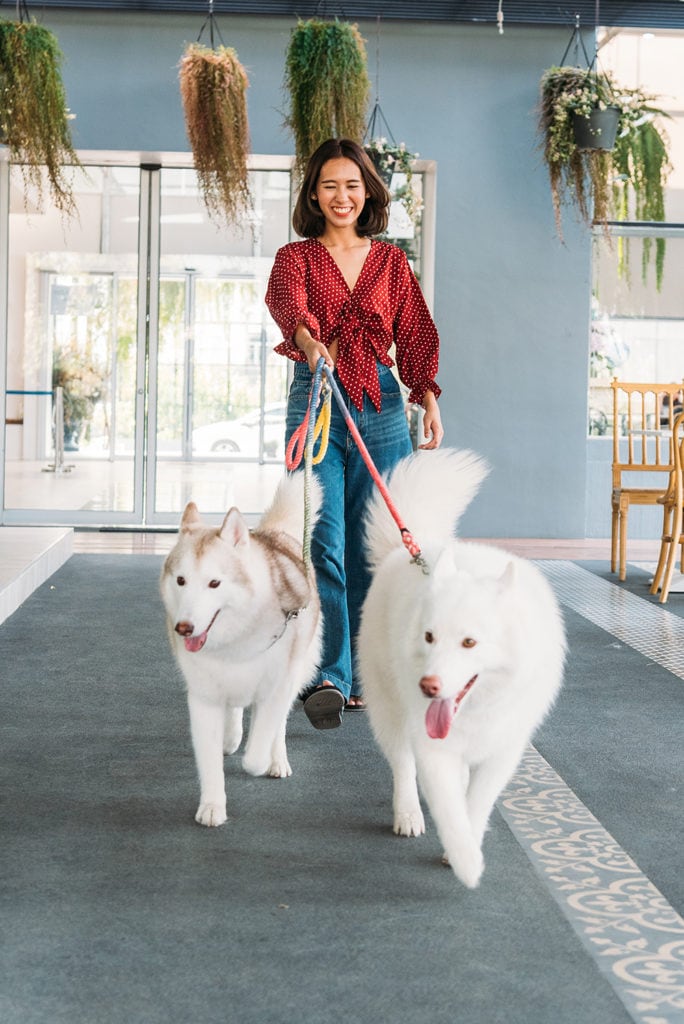 Gallery - Boonta Flowers